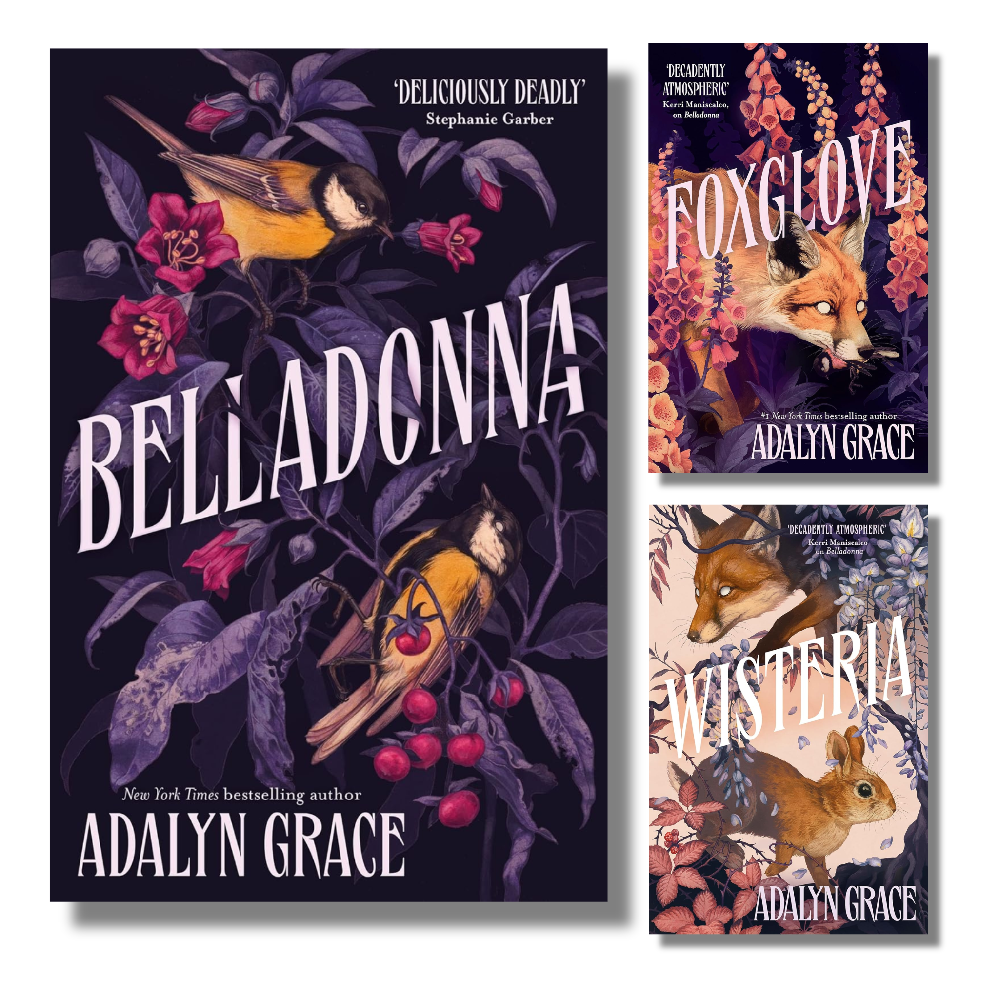 [Combo] The Belladonna Triology By Adalyn Grace (Paperback ...