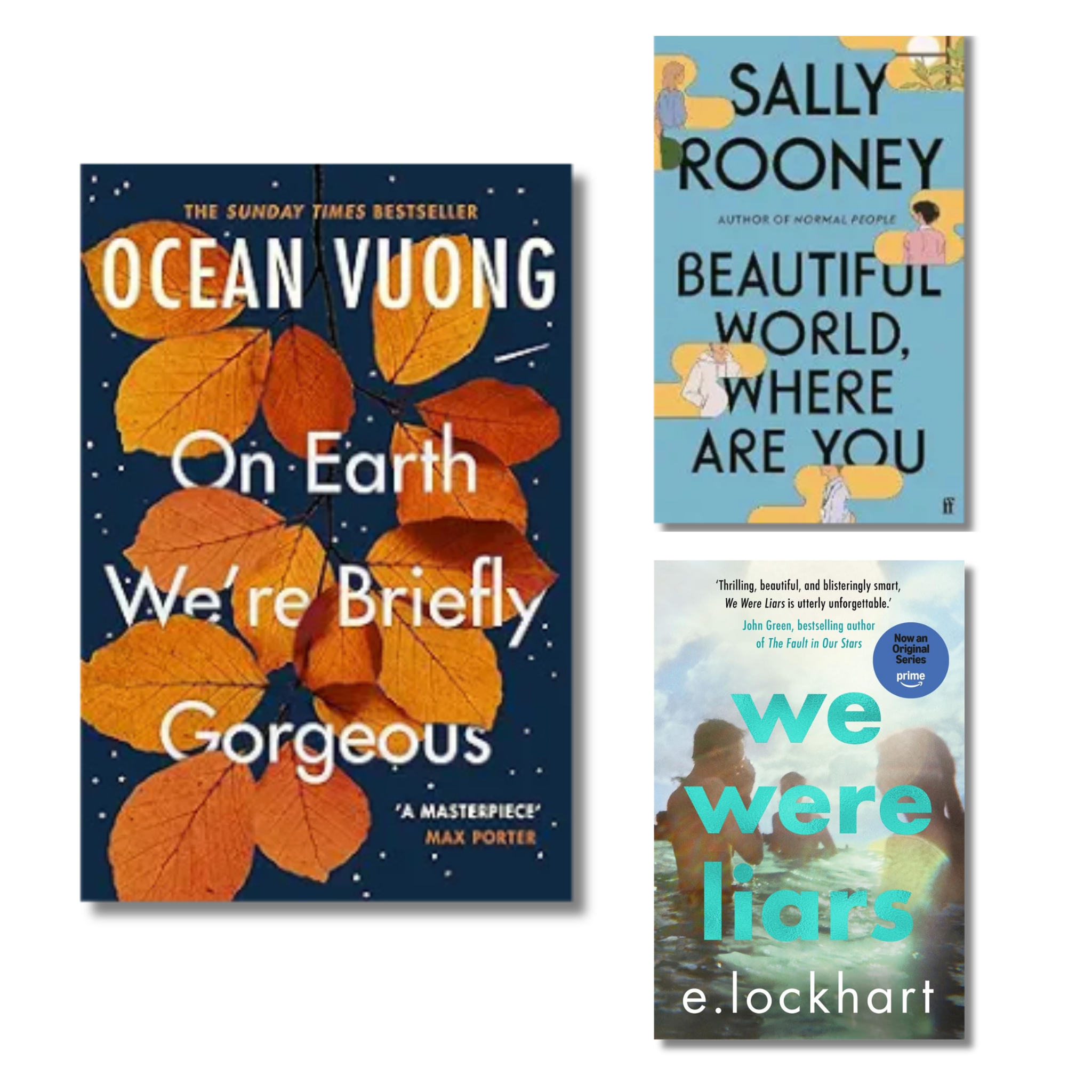 (Combo 3 Book) On Earth We're Briefly Gorgeous, Beautiful World, Where ...